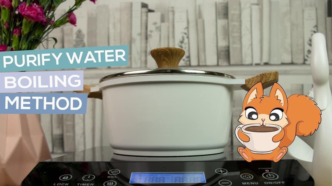 How To Purify Water At Home | Purifying Water With Boiling Method ...